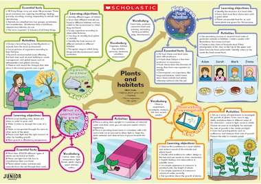 Plants and habitats – fact-filled poster – Primary KS2 teaching ...