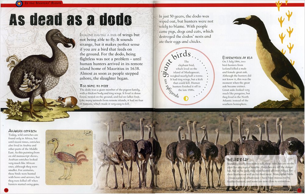 Countdown to Extinction: Animals in Danger! - Scholastic Book Club