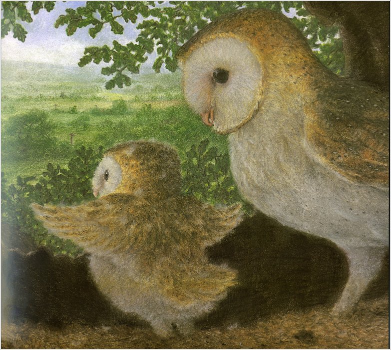 The Owl Who Was Afraid of the Dark (Picture Book) - Scholastic Kids' Club