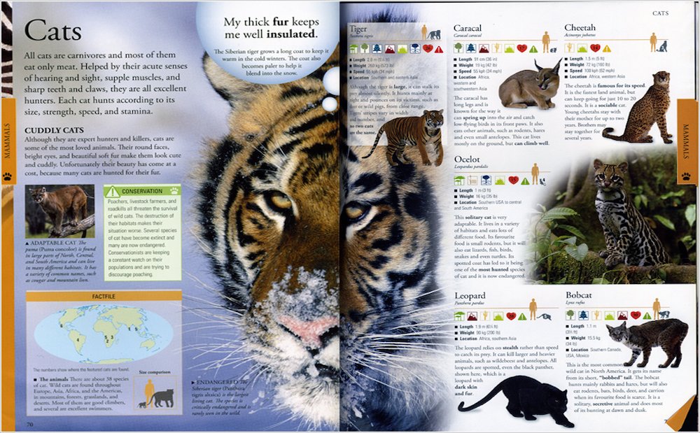 Animals: A Visual Encyclopedia - Scholastic Book Club