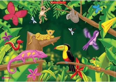 Rainforest – poster – Early Years teaching resource - Scholastic