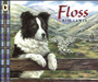 Favourite books: Floss - Scholastic